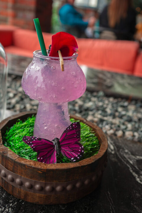 Gaslamp Brunch: Rustic Root