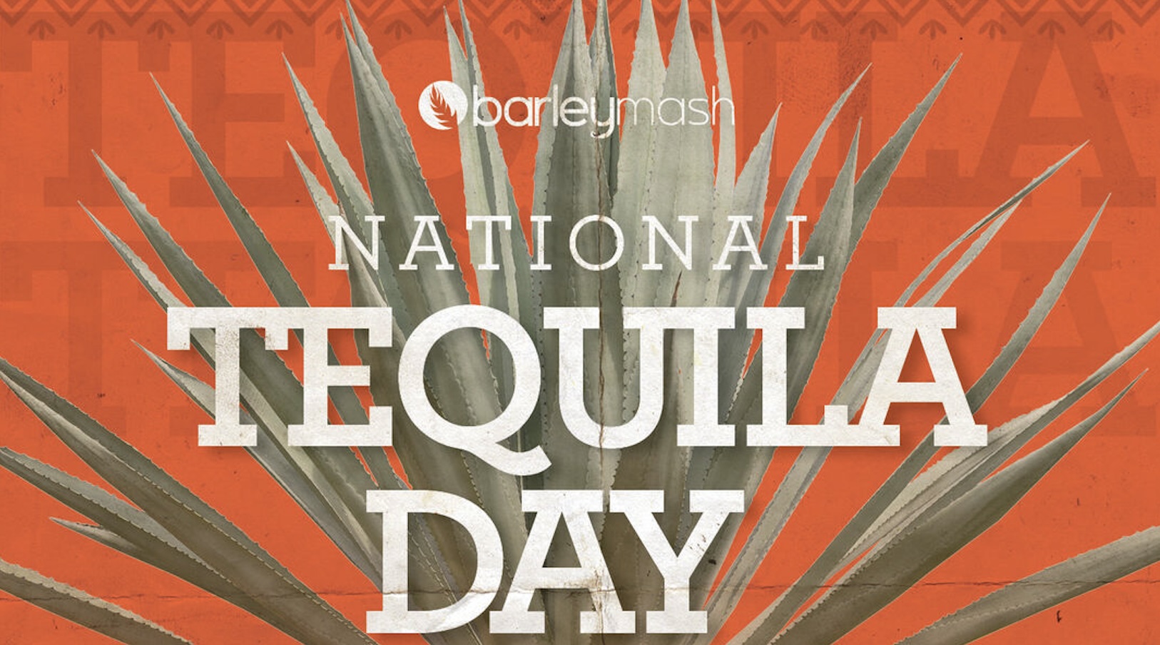 barleymash: National Tequila Day